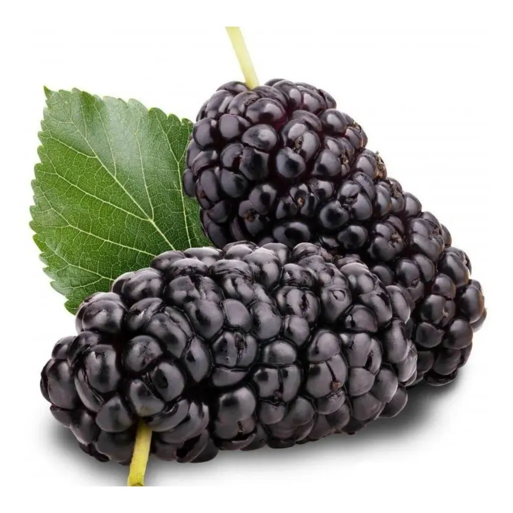 Conheça 10 frutas que são aliadas poderosas para a saúde do coração ...