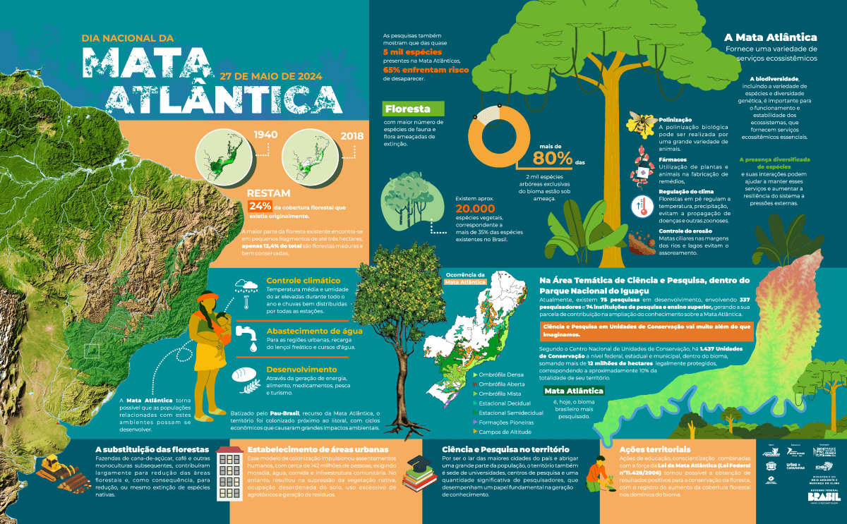 A Importância da Preservação da Mata Atlântica - 100fronteiras.com